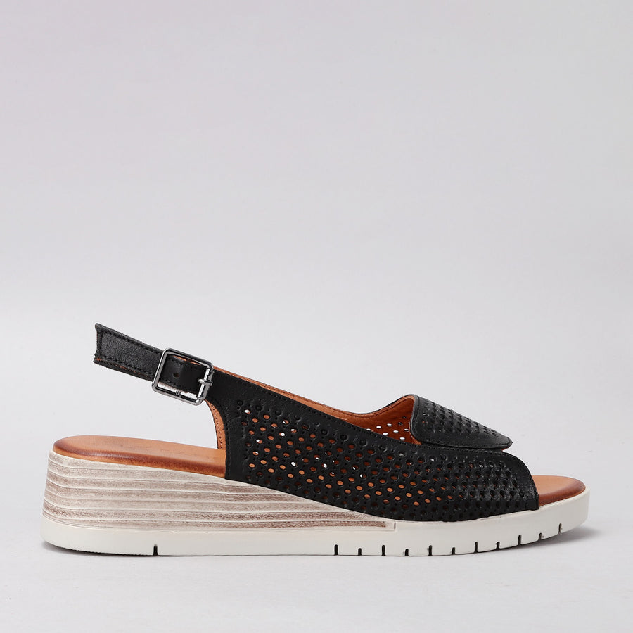Terina - Black – CC Resorts Footwear
